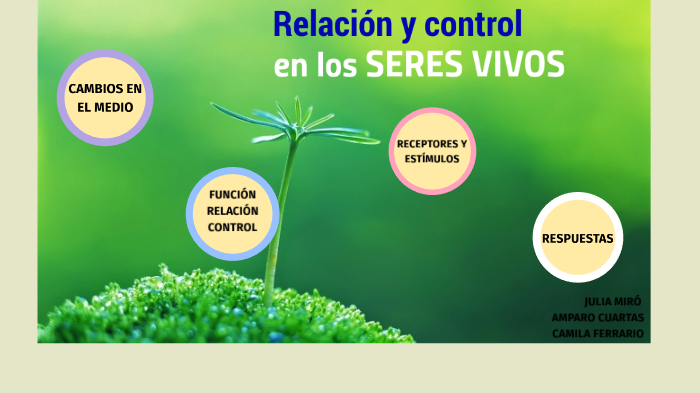 Relación y control en los seres vivos by Julia Miró on Prezi