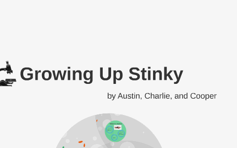 A Skunk's Life Cycle by Kelly Stopp on Prezi