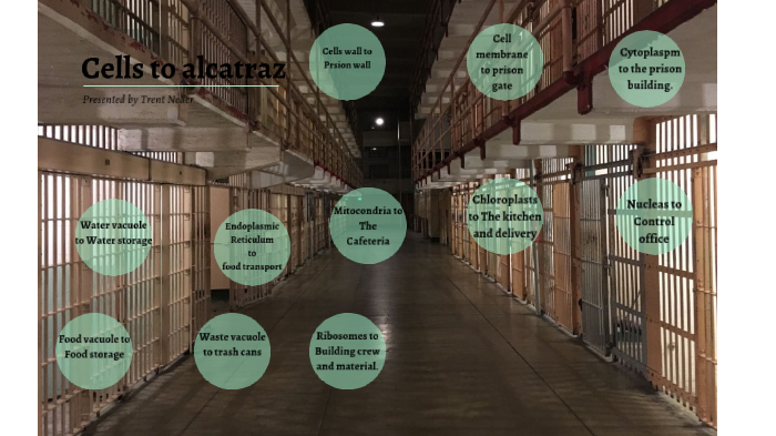 Cells to Alcatraz prison by Trent Neder on Prezi