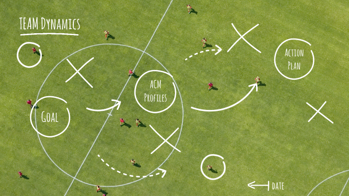 Team Dynamics/Stages of a Team 101 by derek Le on Prezi