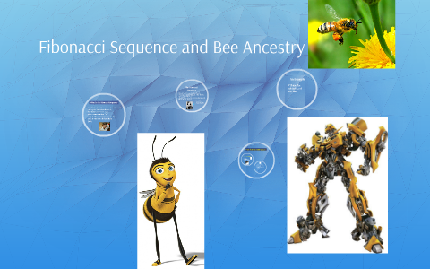 Fibonacci Sequence and Bee Ancestry by Trent Robledo Thompson on Prezi