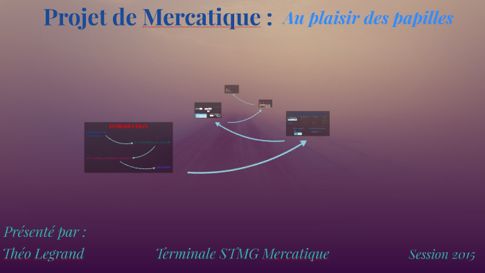 Projet de Mercatique by Théo Legrand on Prezi