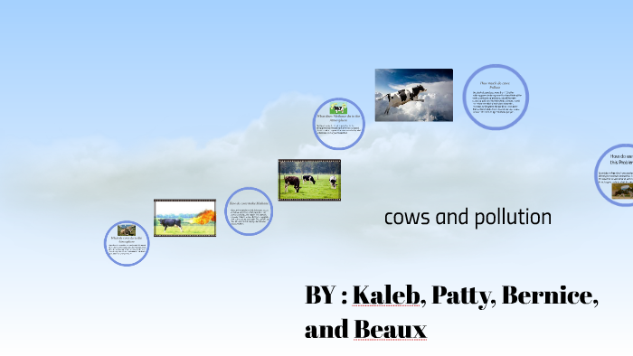 How Cows affect the Air Pollution by kaleb hayslett on Prezi