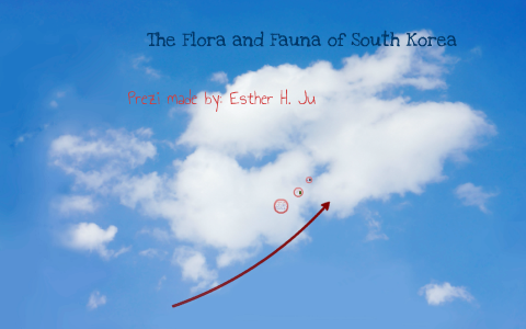 The Flora and Fauna of South Korea by Esther Ju on Prezi
