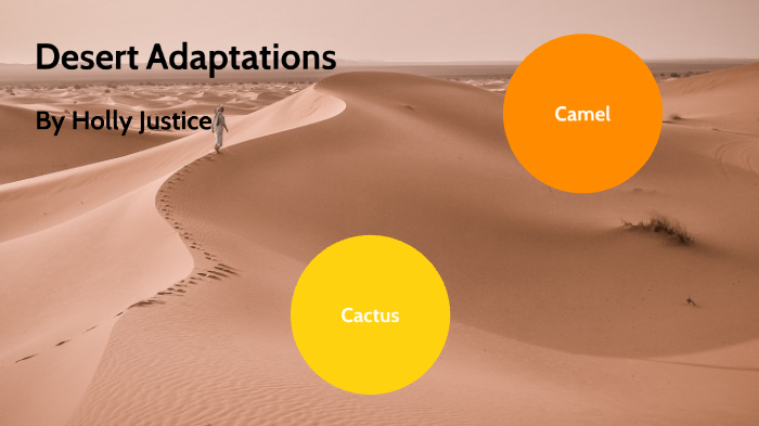 Desert Adaptations by Holly Justice on Prezi