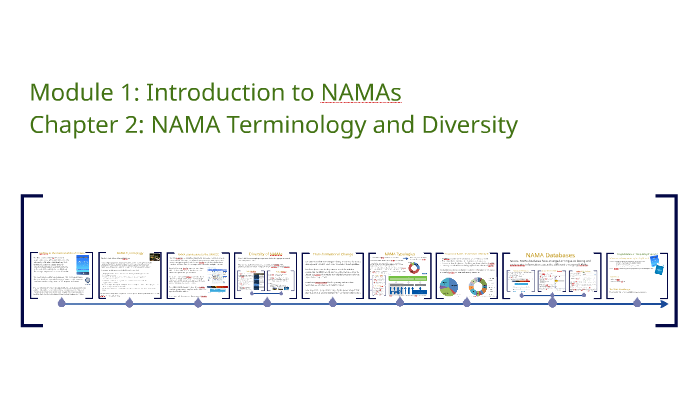 NAMA e-learning CH2 - NAMA Terminology and Diversity by UNEP DTU ...