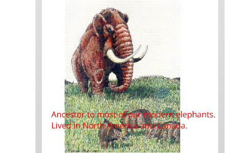 Quaternary Period - Prehistoric Animals by Justin Gallops on Prezi