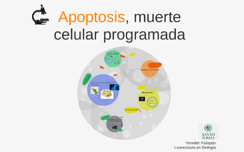 Apoptosis, muerte celular programada by Yennifer Romina on Prezi