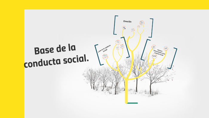 Bases de la conducta social by Alejandro Rangel on Prezi