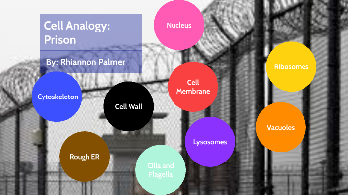 Cell Analogy: Prison by Rhiannon Palmer on Prezi