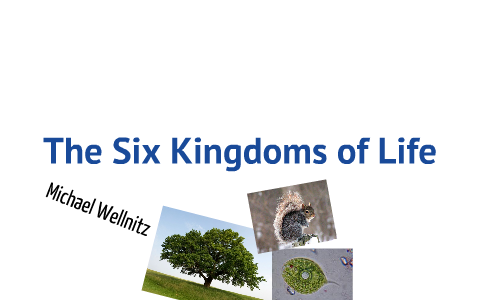 Kingdoms Project by Michael Wellnitz on Prezi