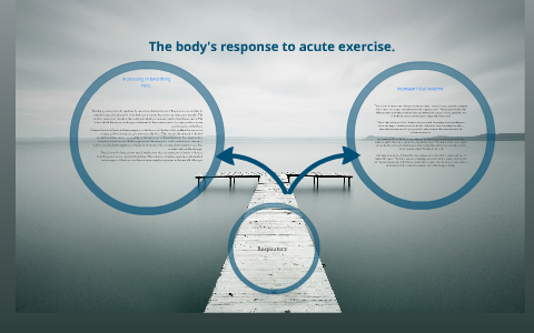 body' response to acute exercise by sultan hussain on Prezi