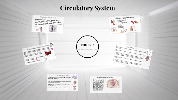 Circulatory System by Science Project