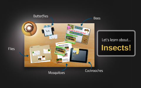 Let's learn about... by Matthew Schoening on Prezi