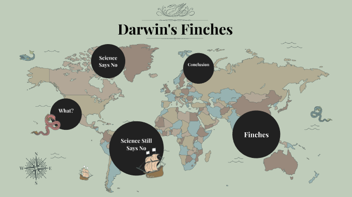 Darwin's Finches by Marcus Holmes on Prezi