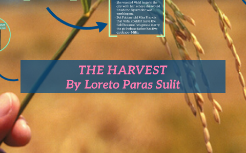 THE HARVEST by Loreto Paras Sulit by Jenalie Alimbuyao on Prezi