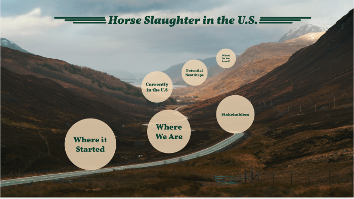 Horse Slaughter by Alexis Remmers on Prezi