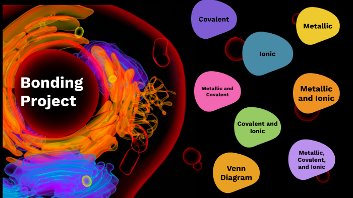 bonding project by Bianca Sanz on Prezi