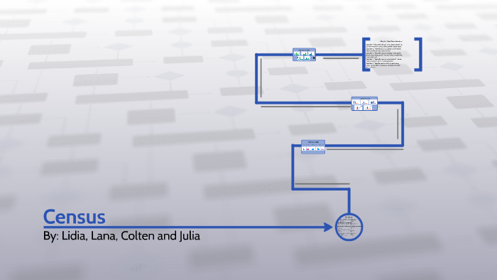 Census by Lidia Imbrogno