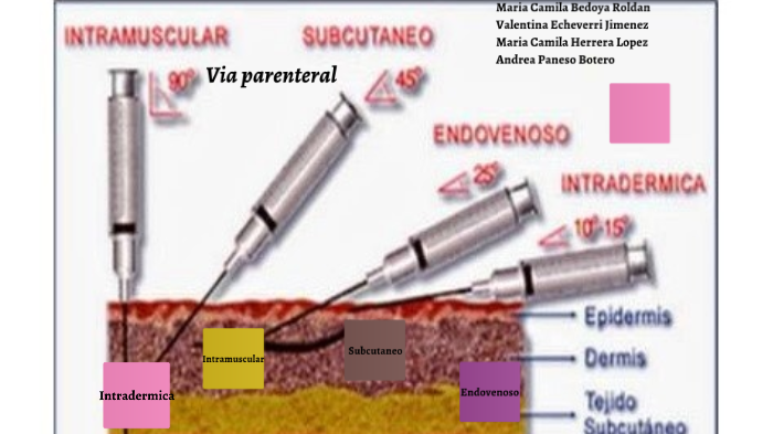 venoclisi, intradermico, subdermico, intramuscular by camila roldan ...
