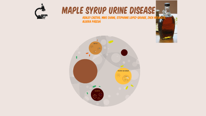 Maple Syrup Urine Disease by Aloera Pascua on Prezi