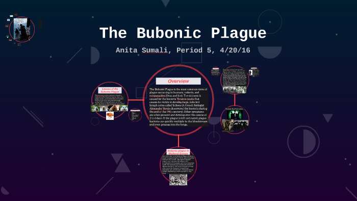 The Bubonic Plague by Anita S