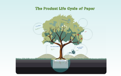 The Life Cycle of Paper by victoria galvez on Prezi