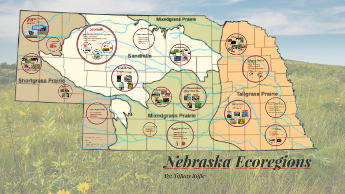 Nebraska Ecoregions by Tiffany Riffle on Prezi