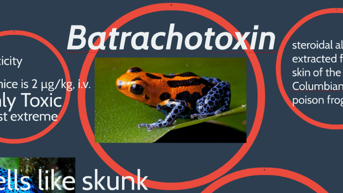 Batrachotoxin by Reece S. on Prezi