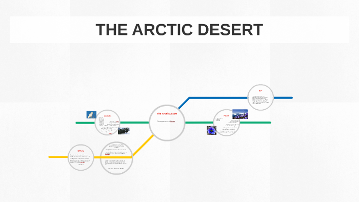 THE POLAR DESERT by Fallon Slone on Prezi