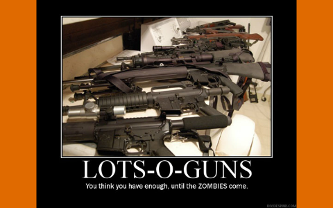 concealed weapons by gauge sayavong on Prezi