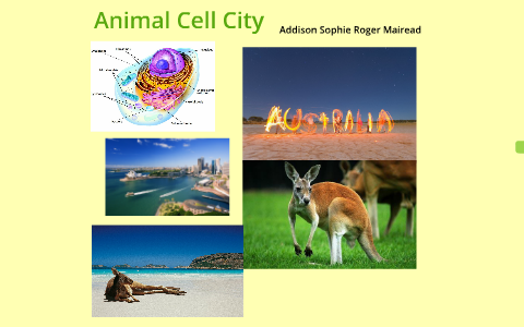 Animal Cell City by Addison Silva on Prezi