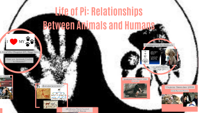 Life of Pi Project: Human and Animal relationships Marguerite and Grace ...