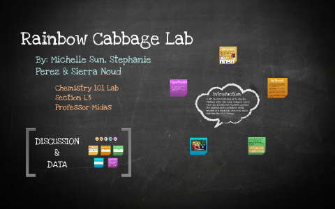 Rainbow Cabbage Lab by Michelle Baws on Prezi