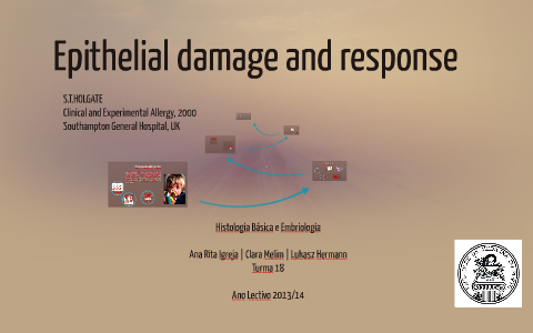 Epithelial damage and response by Clara Melim on Prezi