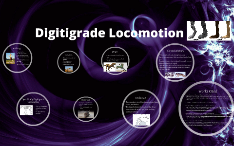 Digitigrade Locomotion by Alyssa Yee on Prezi