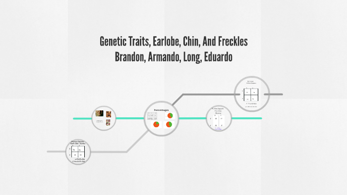 Genetic Traits, Earlobe, Chin, And Freckles by Brandon Le on Prezi
