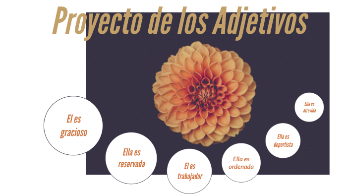 Proyecto de los Adjetivos by ashlei hightower on Prezi