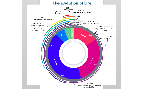 Biology Chapter 17 Section 3 Evolution of Life by Mark Meredith on Prezi