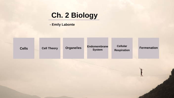 Chapter 2 Biology Cheat Sheet by Emily Labonte on Prezi