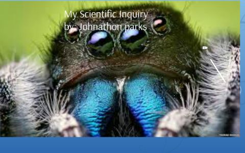 My Scientific Inquiry by Johnathon Parks on Prezi