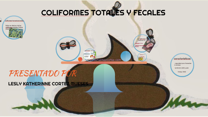COLIFORMES TOTALES Y FECALES by lesly cortez on Prezi