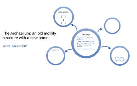 The Archaellum: an old motility structure with a new name by Laura ...