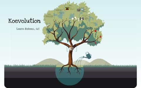 Koevolution by Laura Krengel on Prezi