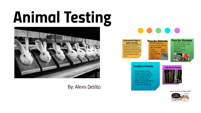 Animal Testing by alexis devito on Prezi