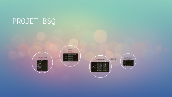 PROJET BSQ by fabien lacorre on Prezi