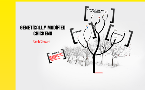 Genetically Modified Chickens by Sarah Stewart on Prezi