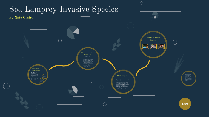 Sea Lamprey Invasive Species by Nathanael Castro on Prezi