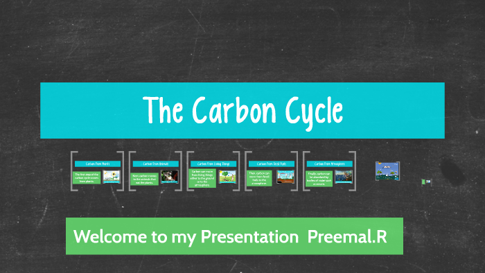 carbon cycle by Preemal Rebello on Prezi