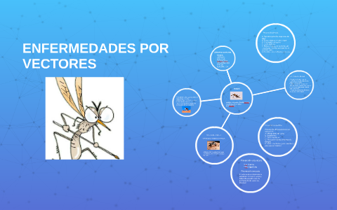 ENFERMEDADES POR VECTORES by on Prezi